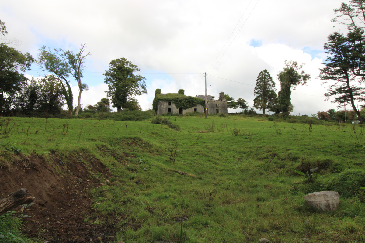 Project – Irish Rural Homes