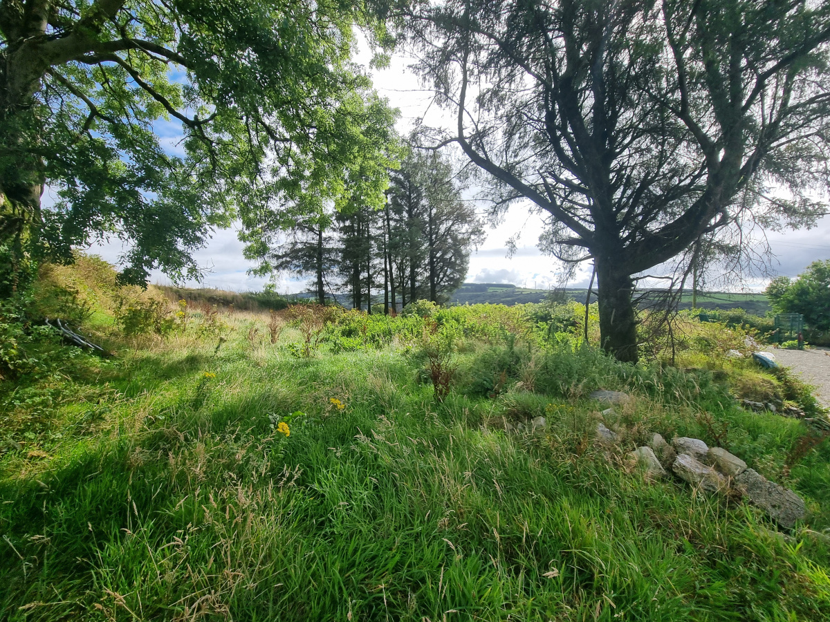 Smallholding for Sale – Irish Rural Homes