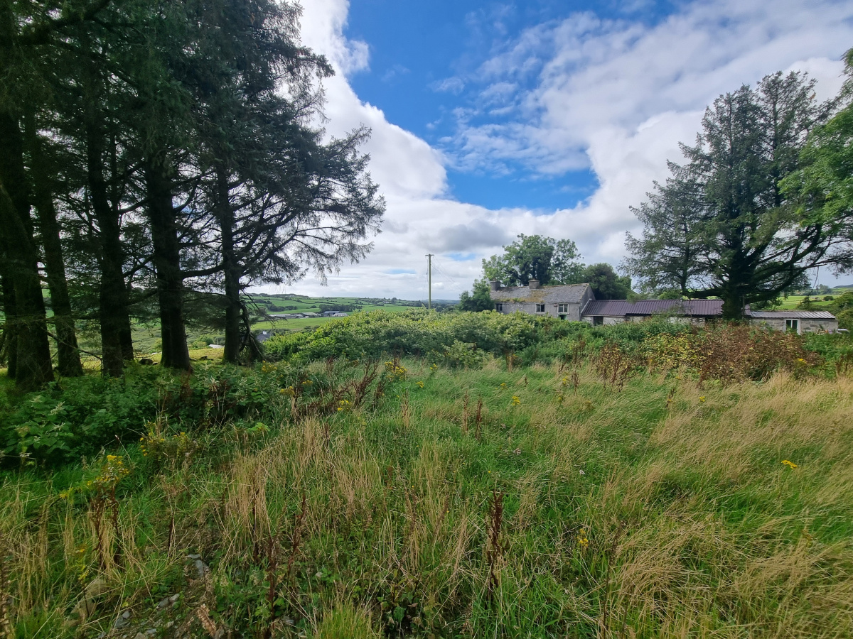 Smallholding for Sale – Irish Rural Homes