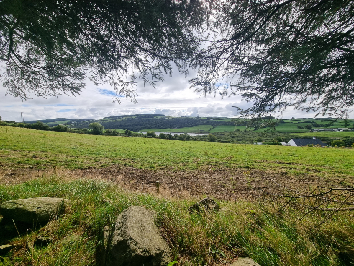 Smallholding for Sale – Irish Rural Homes